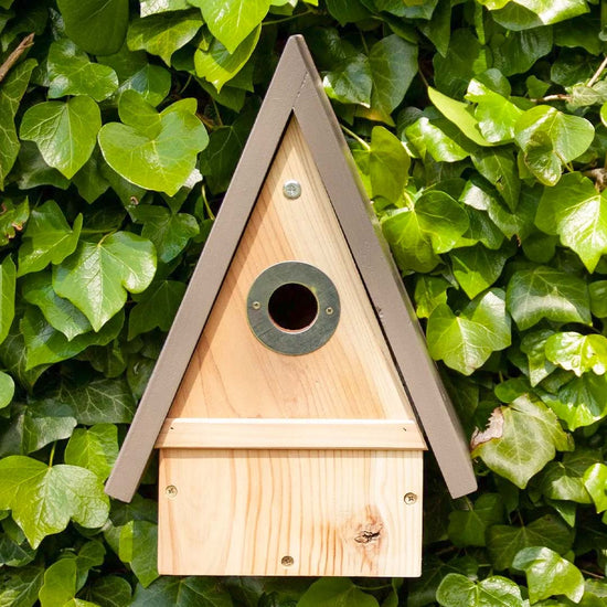Timeless Multi-Species Bird House – Barnsdale Gardens